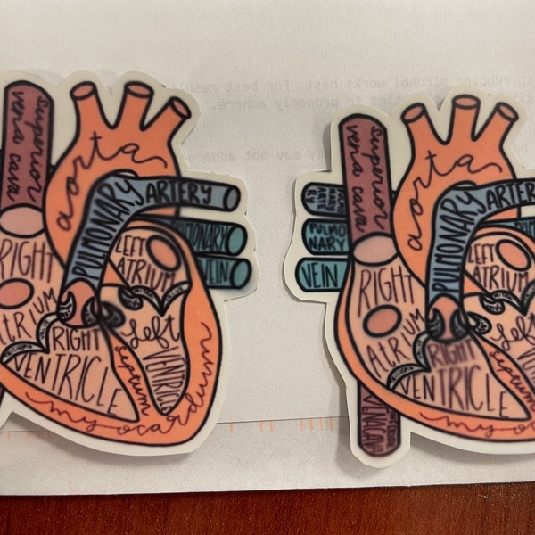 Caregiver Sticker, Caregiver Decal, Caregiver, Nurses Aid Sticker ...