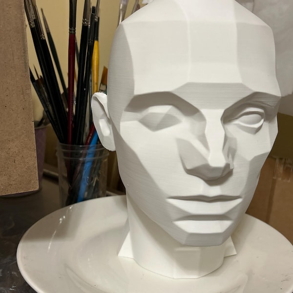 10" 25.4 Cm Planar Head, Planar Bust, Learn the Planes of the Head for ...