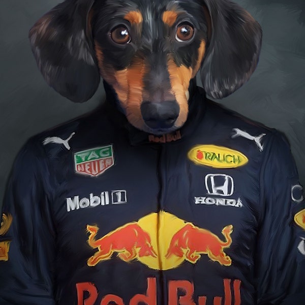 Red Ball, Formula Racing Car, F1 Driver Team Pet Portrait, Custom Dog ...
