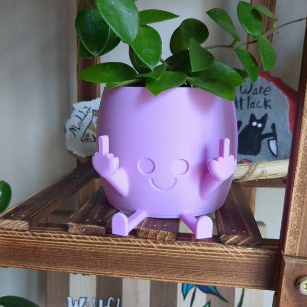 Middle Finger Happy Planter in ALL Colors! Kawaii Planter, Planter With ...
