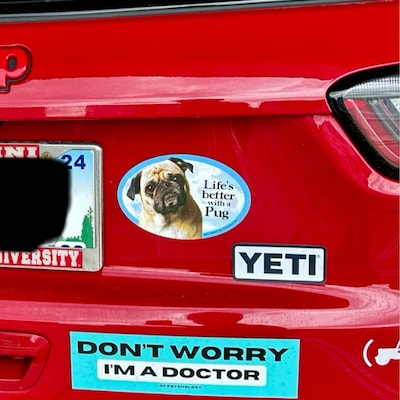 Renesmee Will Haunt You Bumper Sticker Funny Car Sticker Hilarious ...