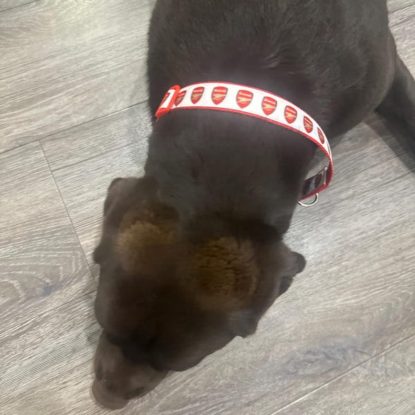 Teenage Mutant Ninja Turtles (TMNT) Print - Small/medium/large ...