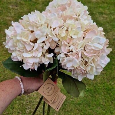 Vintage Effect Pink Peony Stem. Faux Floral Peonies. Everlasting ...