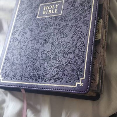 Gorgeous White KJV Holy Bible With Acrylic Display Case With Silver ...