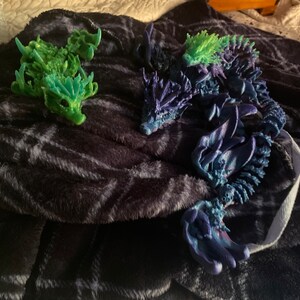 Skull Dog Reference Sheet - Etsy