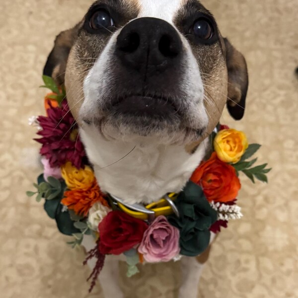 100% CUSTOM Pet Flower Collar, Flower Crown, Pet Wreath • Faux Florals ...