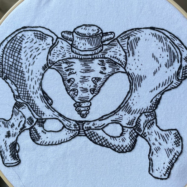 Pelvis Anatomy Embroidery Pattern - DIY Digital Download - PDF Pattern ...