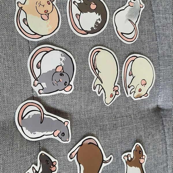 Cute Fancy Rat Stickers Pack of 8 to 10 Made to Order - Etsy
