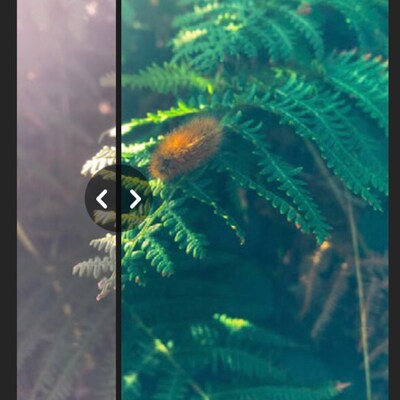 10 Printable Bookmarks HP Collection - Etsy