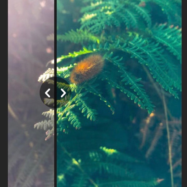 10 Printable Bookmarks HP Collection - Etsy