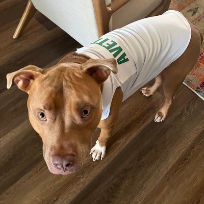 Golf Caddie Bib for DOGS With Name Badge on Back of Caddy Bibs White ...