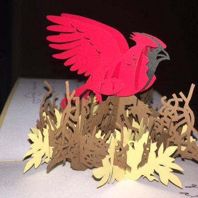 Cardinal 3-d Pop up Card - Etsy