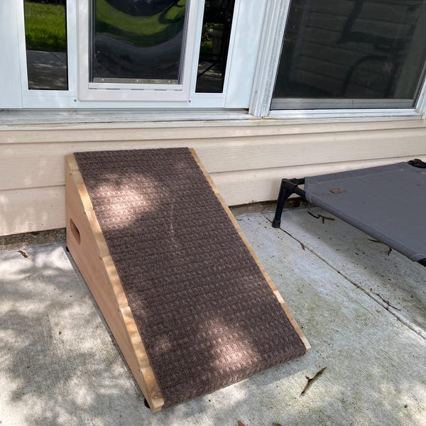 Pet, Dog or Cat Ramp. Great Ramp to Get Your Pets on or off Your Bed ...