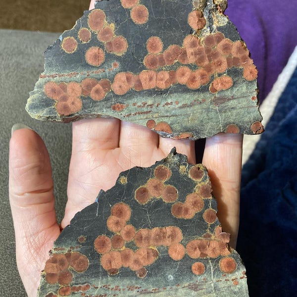 Mushroom Rhyolite Unpolished Rough Slice Lapidary Raw Slab 172 Grams - Etsy