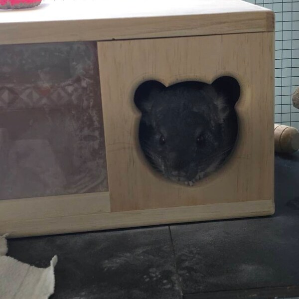 Stainless Steel Scatterless Litter Box With Guards Wood Hay Feeder Food ...