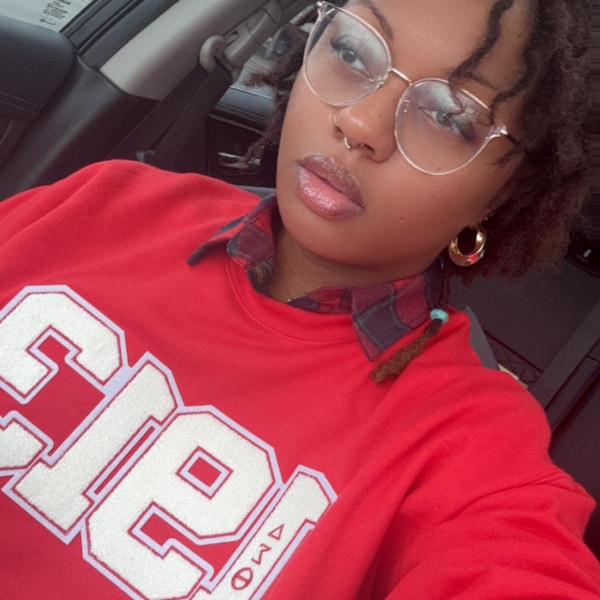 Delta Sigma Theta Sweatshirt , 1913, J13, Sorority, Delta Embroidered ...