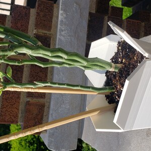 Large Twisted Flower Pot for Plants of All Kinds pastel | Etsy