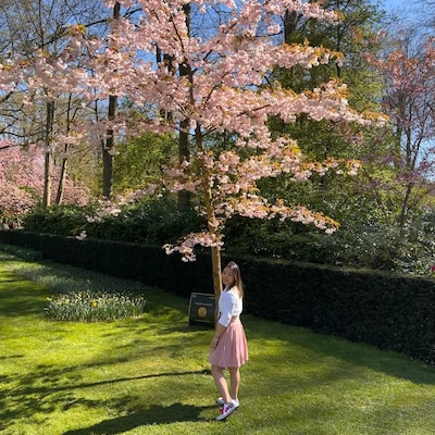 Pink Modern Hanbok Jeogori Handmade Korea Daily Hanbok Mini Dress ...