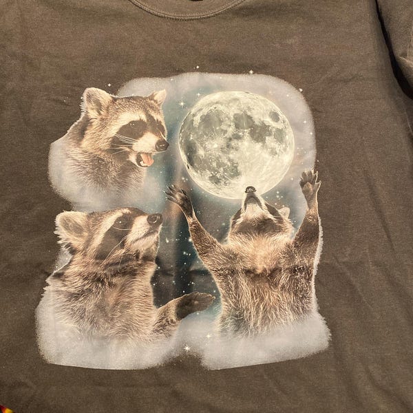 Comfort Colors Raccoons Shirt, Three Raccoons Vintage Graphic Shirt ...