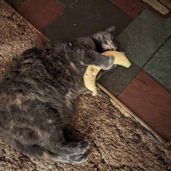 Banana Catnip Toys. - Etsy