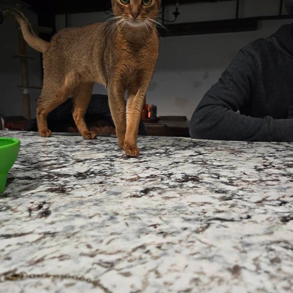 Clock Keychain Prague Clock Key Ring Clock Jewelry Steampunk Key Chain ...