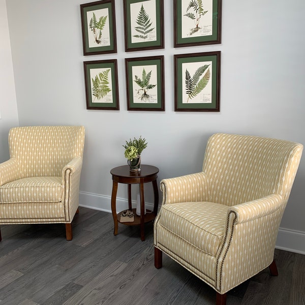 Fern Print Set of 6; Pressed Fern Gallery Wall Scientific Decor for ...