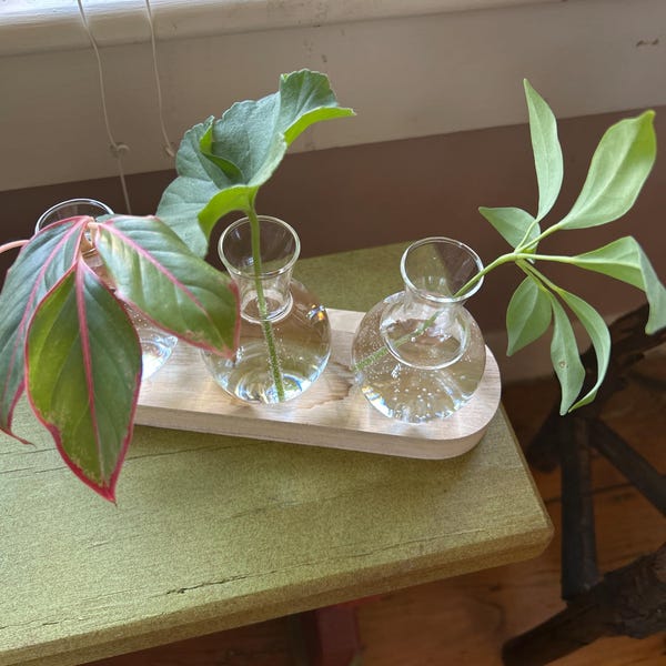 Garden Plant Tools Floral Scissor Shears Houseplant Pruner Hand ...