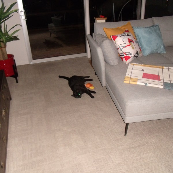 Donny-doll- Catnip Stuffed Baby Trump Doll. Baby Donald Trump Cat Toy ...