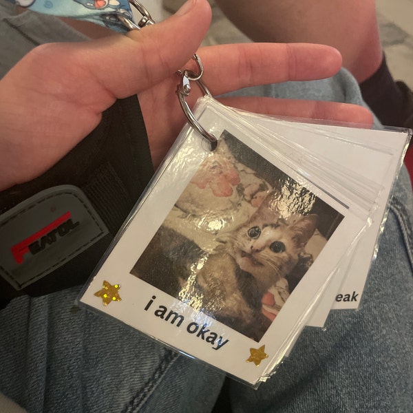 Silly Cat Themed Communication Cards (AAC, Nonverbal Aid, Autism ...
