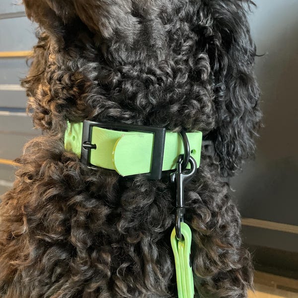 The Vera Bling Biothane® Collar Beta Biothane® Collar Gemstone Collar ...