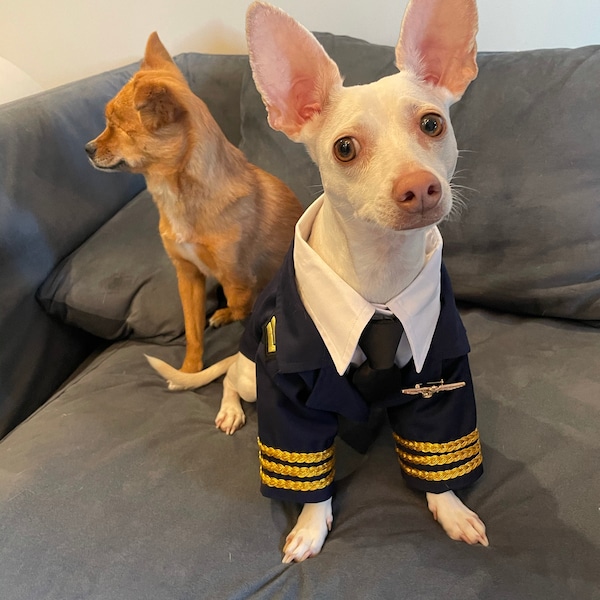 Custom Made Dog Cat Pet Pilot Captain Aviator Uniform Blazer Coat and ...