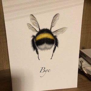 PRINT Flying Bumblebee, Bumblebees Butt, Realistic Bumblebee Wall Art, Zoological Illustration ...