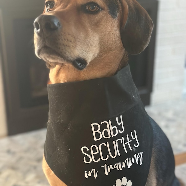 Baby Security Dog Bandana - Baby Security in Training Dog Bandana ...