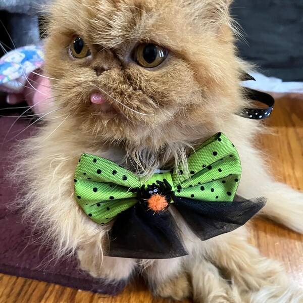 Pink Plaid With Ruffles Dog Bandana, Pretty Pink Pet Bandana, Plaid ...