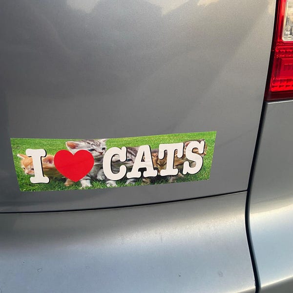 Bumpin' That Brat Bumper Sticker - Charli XCX, Brat, Bratmobile, Bumper ...