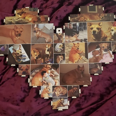 Letter S Photo Collage, Letter S Picture Frame, Letter S Gift, Special ...