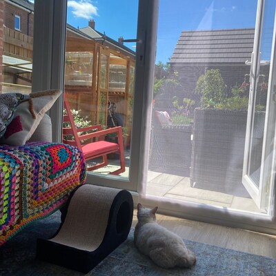 Small Custom Flat Cats Window Screens Mesh Window Protection for Cats ...