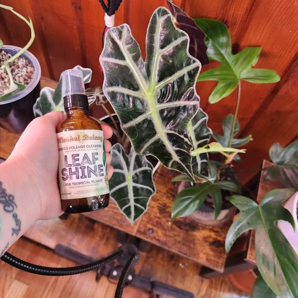 Market Botany Prop Drops - Liquid Propagation Supplement, Root Growth ...