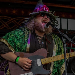 Fair Trade Indian Sitar Mizrab Set of 4 Plectrum Pick Zitar Pluck 387 ...