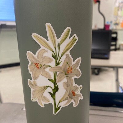 Pink Lady Slipper Sticker Flower Sicker Stickers for - Etsy