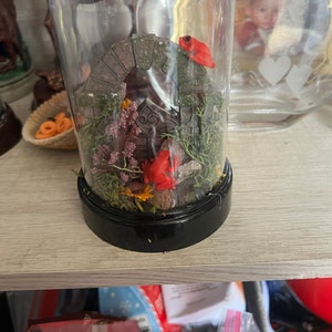 Set of Miniature Hermit Crabs Mini Crabs Terrarium | Etsy