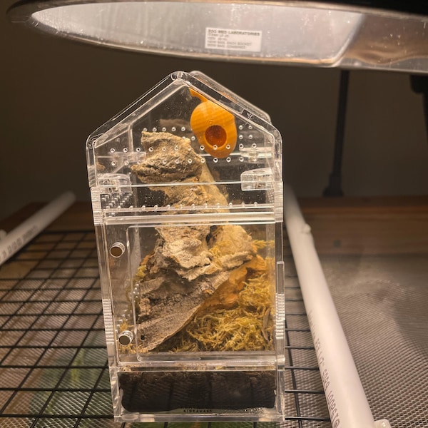 JC Decorated Hexagon Enclosures - Etsy