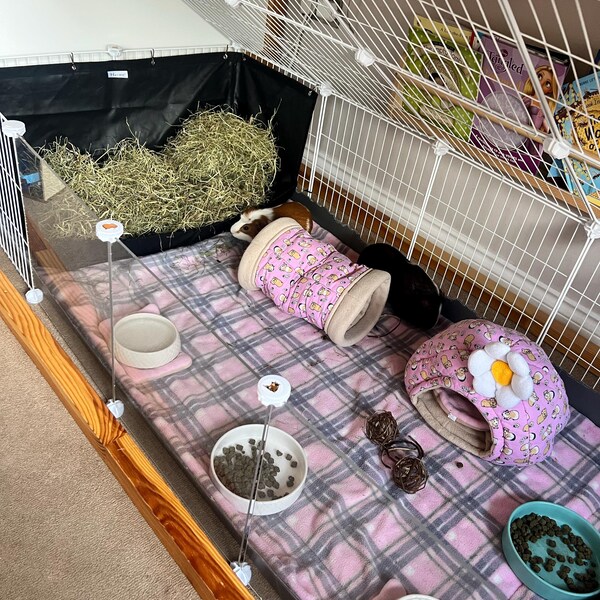 Hayzee Hay Holder: Encourages Natural Burrowing, Less Mess, Waterproof ...