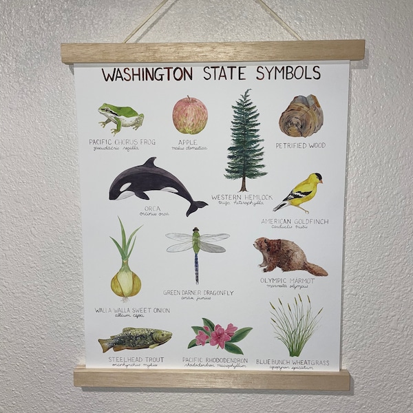 Washington State Symbols Art Print / Washington State Art / State ...