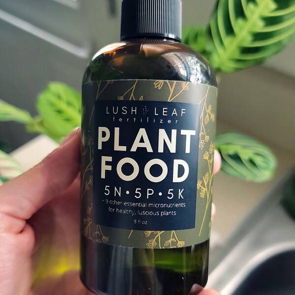 Lush Leaf Natural Indoor & Outdoor Plant Food and Fertilizer for Rapid ...