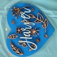 DIY Custom Sign Kit, Paint Your Own Personalized Sign, Bedroom Door ...