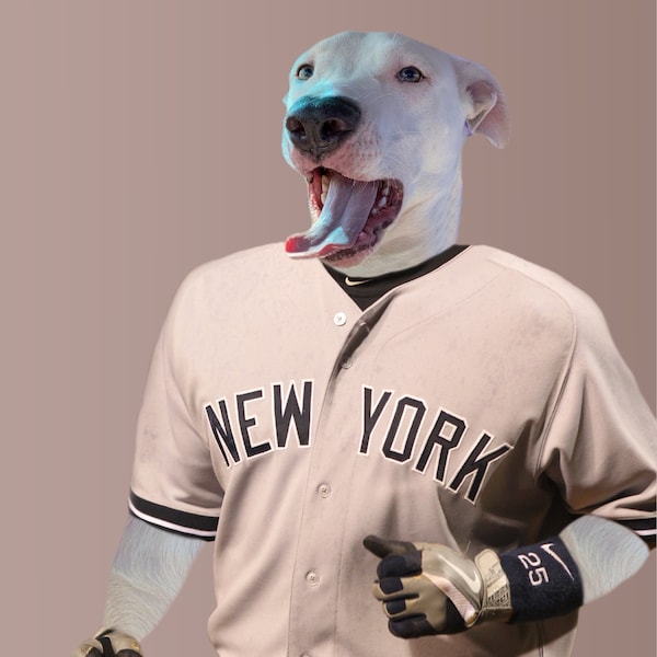 Custom Baseball Pet Portrait: New York Yankees Dog Art - Etsy