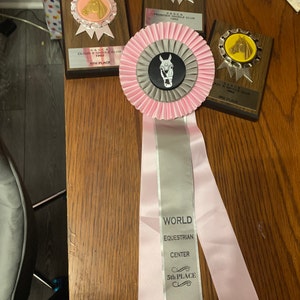 Custom Equestrian Hanging Ribbon Rack - 10 ROWS - Holds up to 90 ...