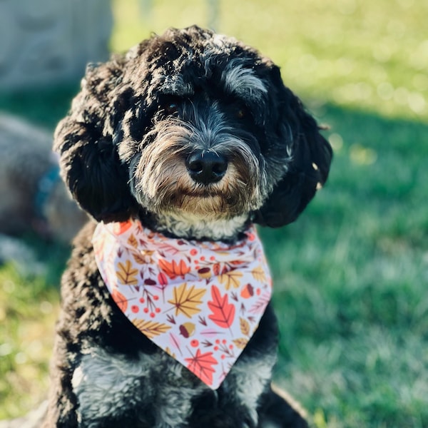 Fall Dog Bandana/white With Fall Leaves Dog/blush With Pumpkins/pet ...