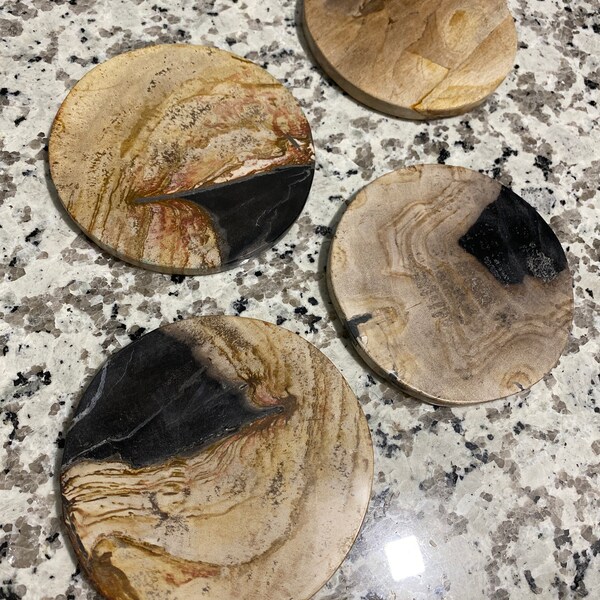 Petrified Wood Coasters set of 4 - Etsy